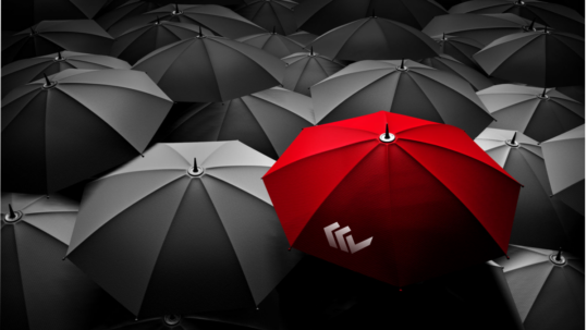 What you Need to Know About Employee Self Service | PayDay